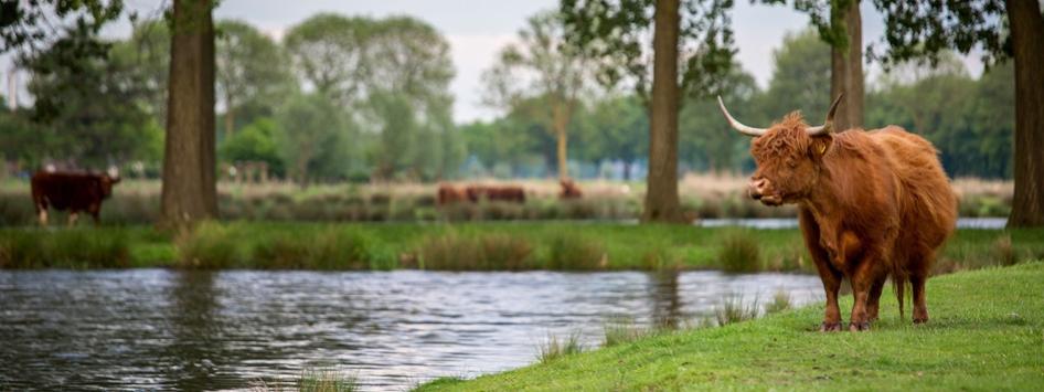 Natuur in Limburg | VVV Hart van Limburg